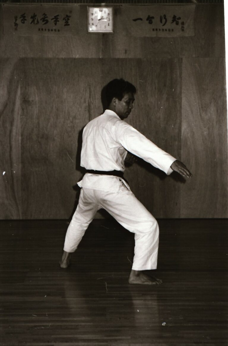 Katas Pinan Wado-Ryu in beeld - Kamigaito Yoshikazu Sensei, Wado-Ryu Karate Meester