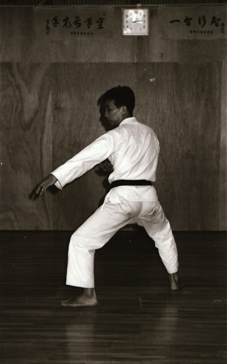 Les Katas Pinan Karaté Wado-Ryu en photos - Kamigaito Yoshikazu Sensei ...