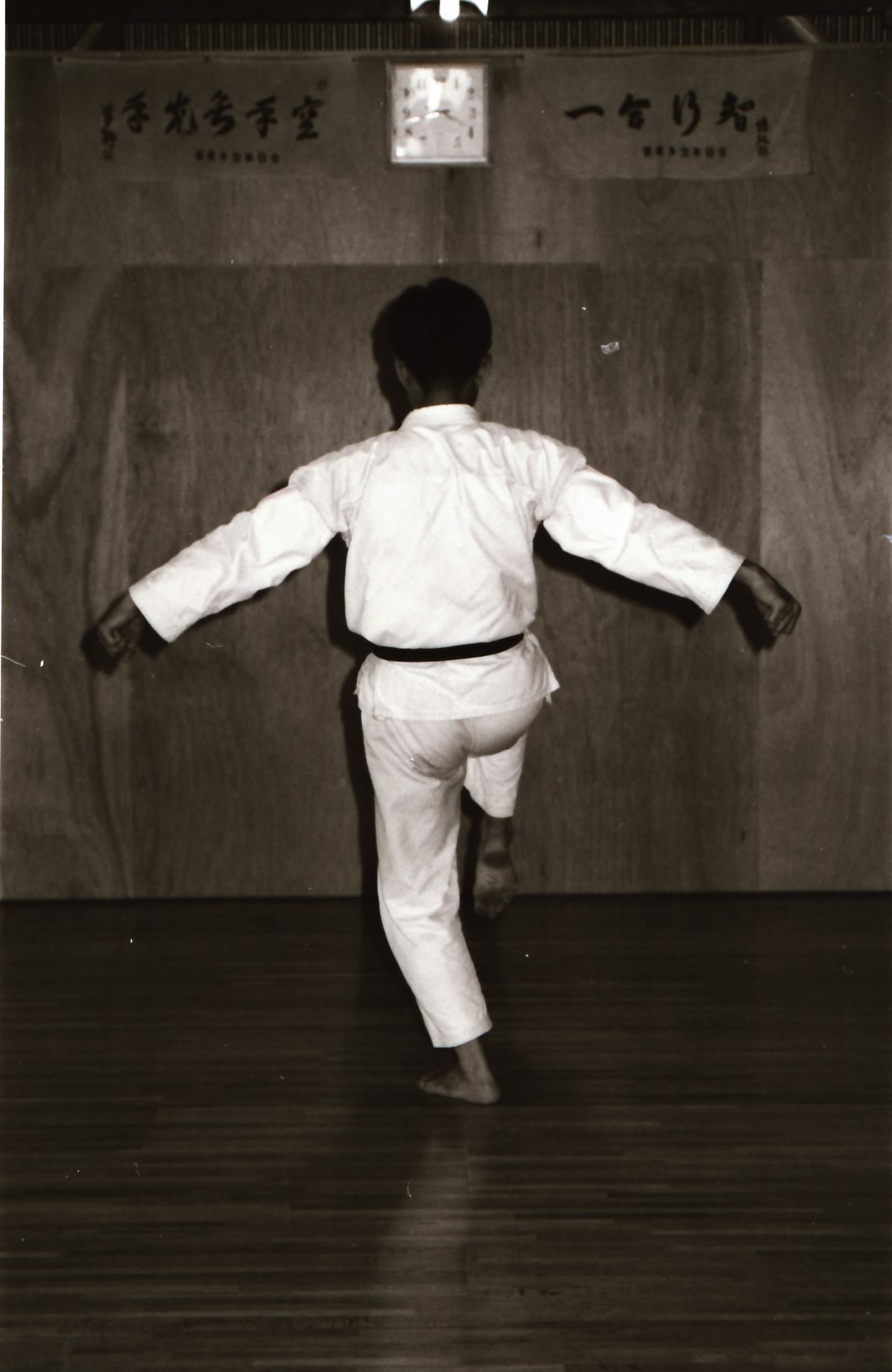 Les Katas Pinan Karaté Wado-Ryu en photos - Kamigaito Yoshikazu Sensei ...